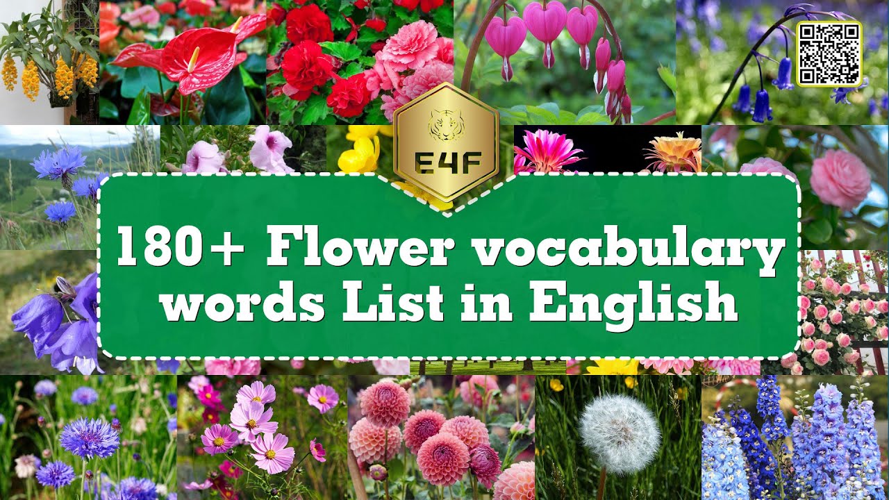 Discover 180+ English Flower Vocabulary Words: A Comprehensive Guide ...
