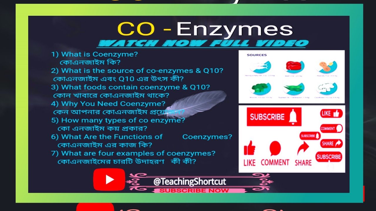 Coenzyme।।Rich Foods of Coenzyme।।Importance of Coenzyme।।COQ10।।Source ...