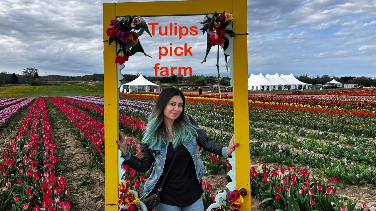 TULIPS PICk FARM IN ONTARIO CANADA 🇨🇦 - YouTube