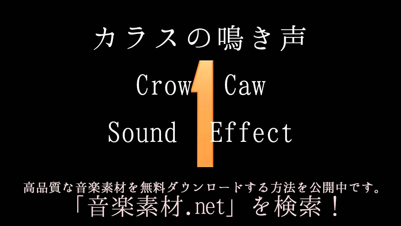 カラスの鳴き声 Crow Caw Sound Effect - YouTube