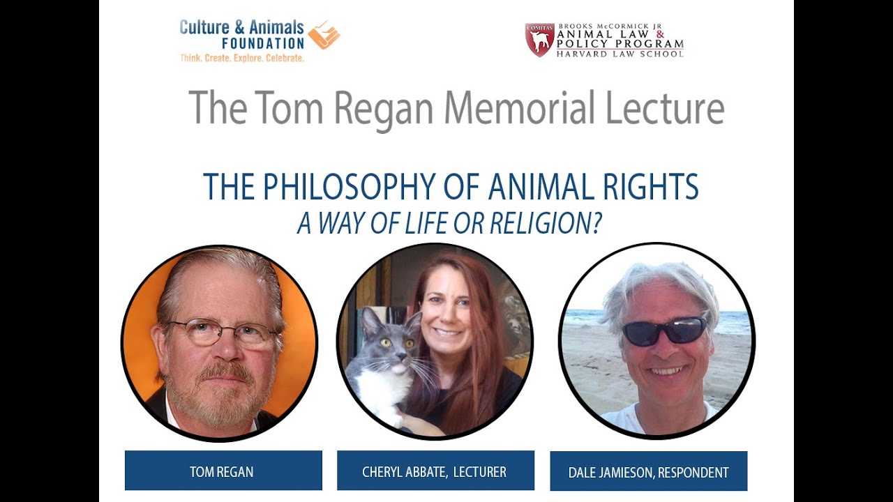 The 2023 Tom Regan Memorial Lecture: Cheryl Abbate - YouTube