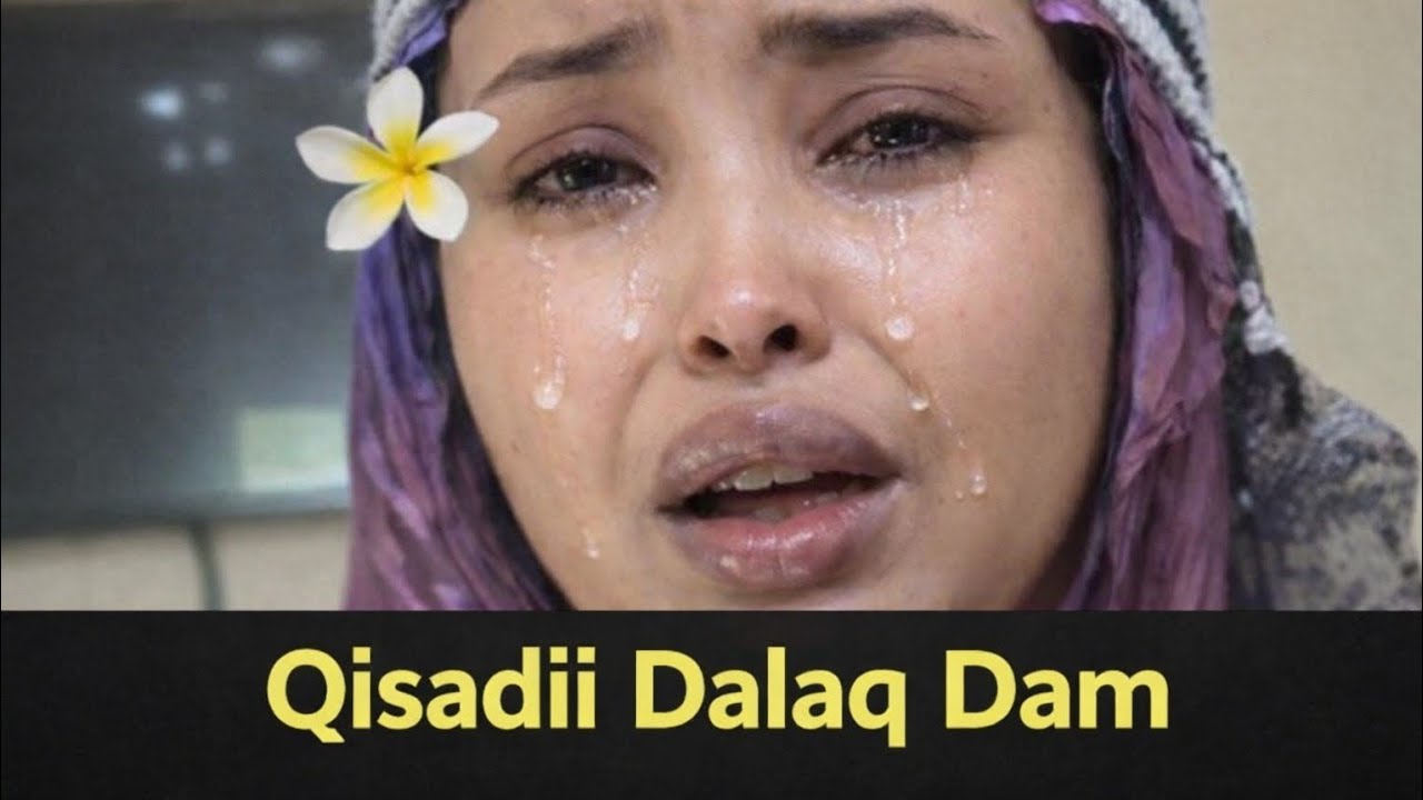 SIDEE KU TIMID QISADA DALAQ DAM. - YouTube