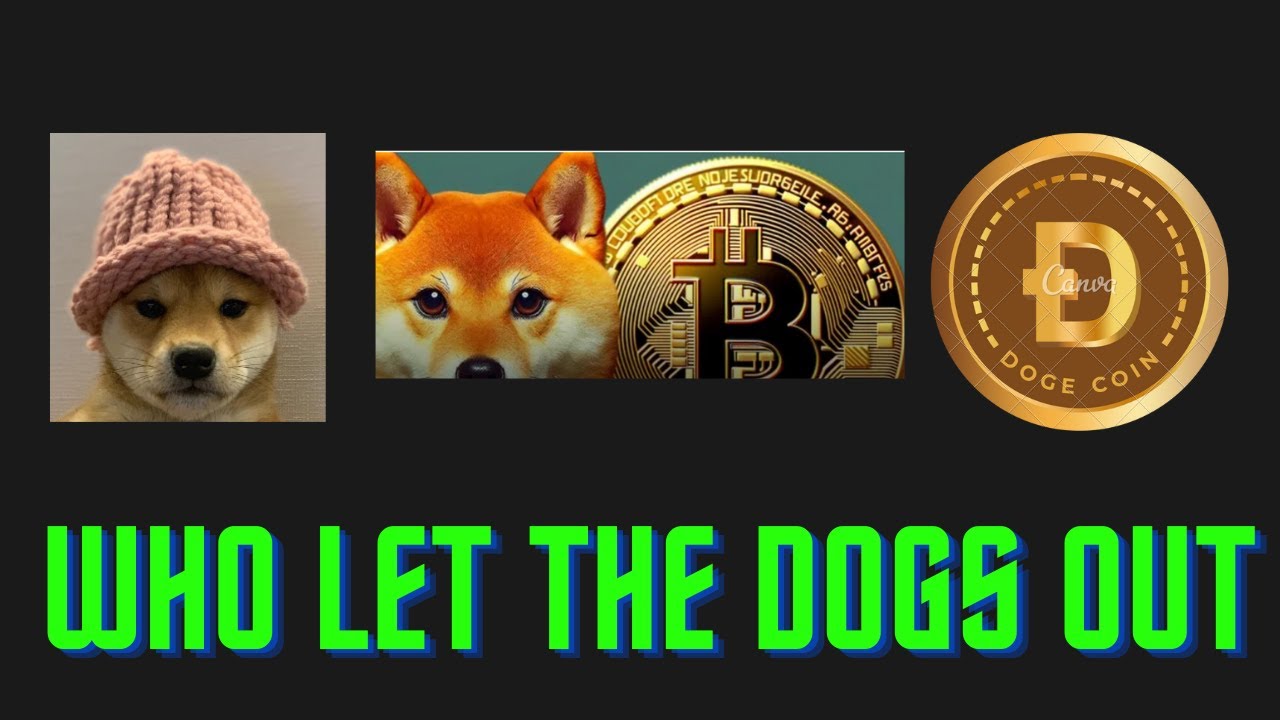 Dog Crypto Coins Starting to Get Wild - YouTube