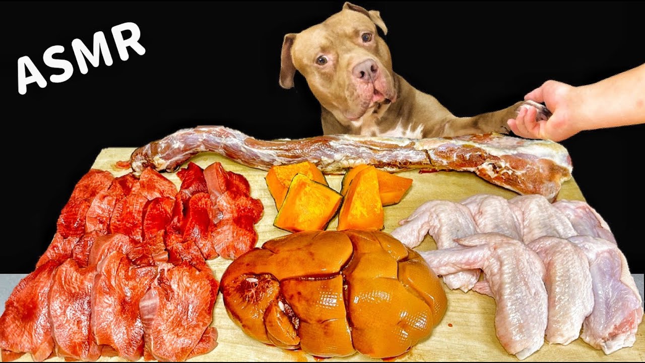 Best Crunky Eating Sound PITBULL EATING RAW FOODS - YouTube