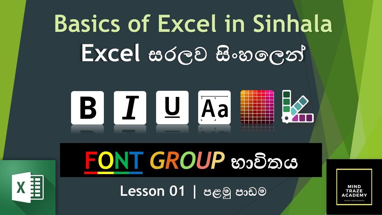Microsoft Excel "Font Group" භාවිතය | Basics of Excel in Sinhala ...