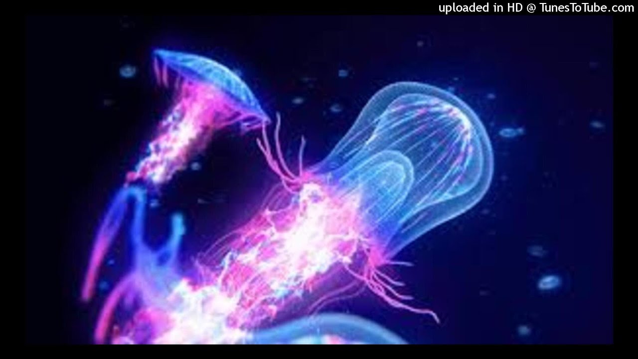 MU ISI HAVUMBUWE IBISIMBA BYAKA UMURIRO ! YAMPAYINKA !!!! - YouTube