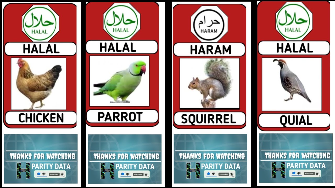 List of Halal_and_Haram_Animal_Meat_in_Islam 2025 - YouTube