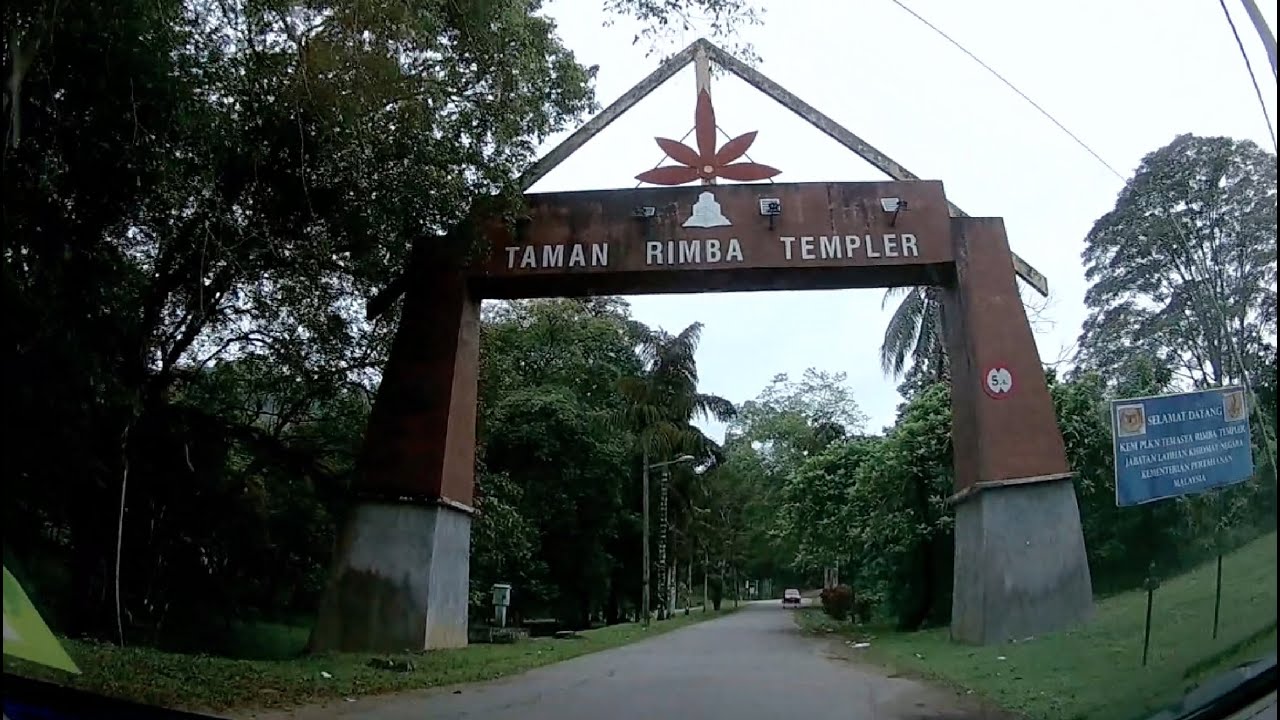 Taman Rimba Templer 邓普勒花园 @ 16 September 2020 - YouTube