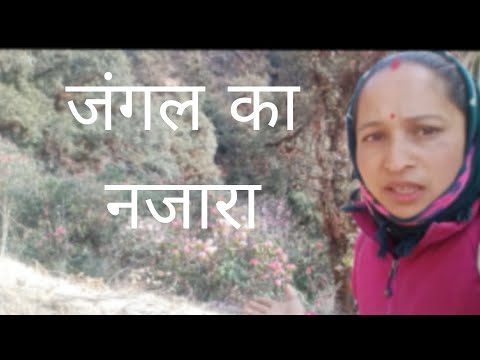 यह है पहाड़ों का नजारा#devki devi vlogs uattarkhandi # - YouTube