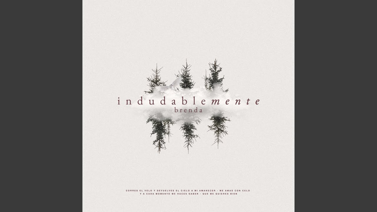 Indudablemente - YouTube