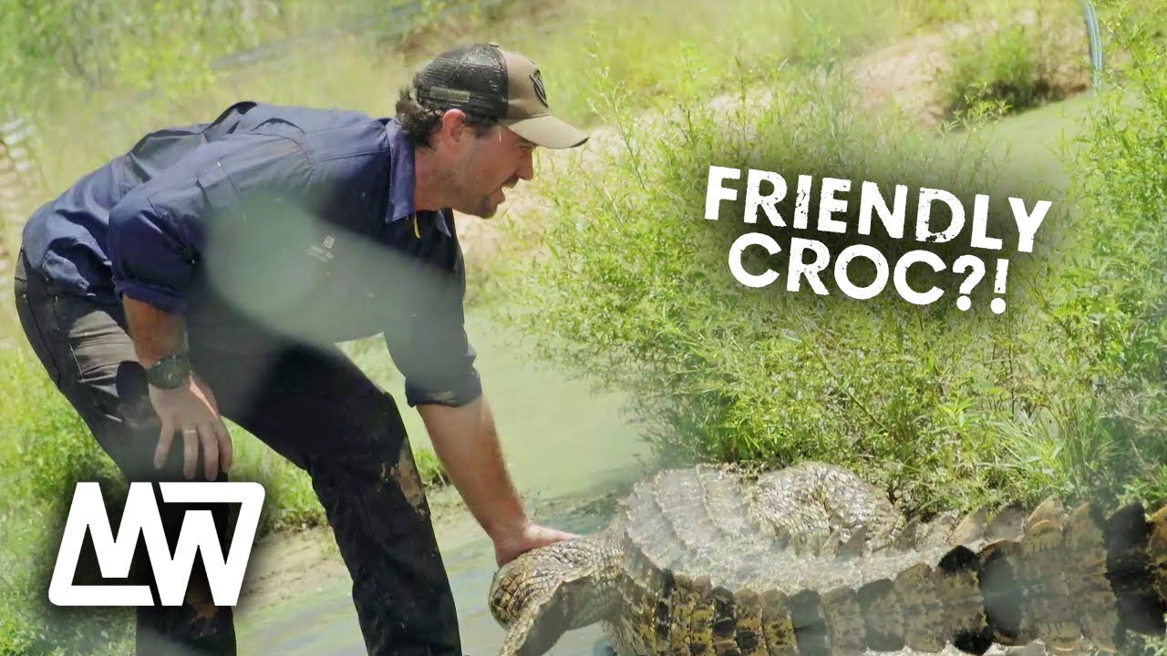 Hand Feeding A Friendly Croc?! | Full Episode | Matt Wright (Ep10 ...