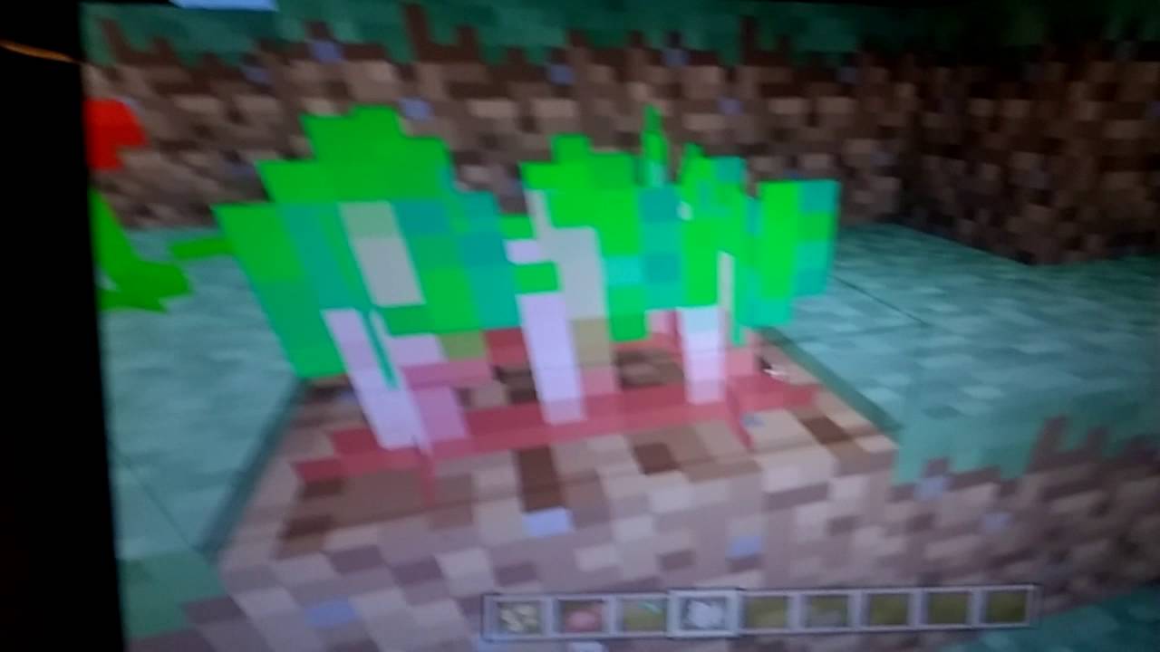 The new things in Minecraft - YouTube