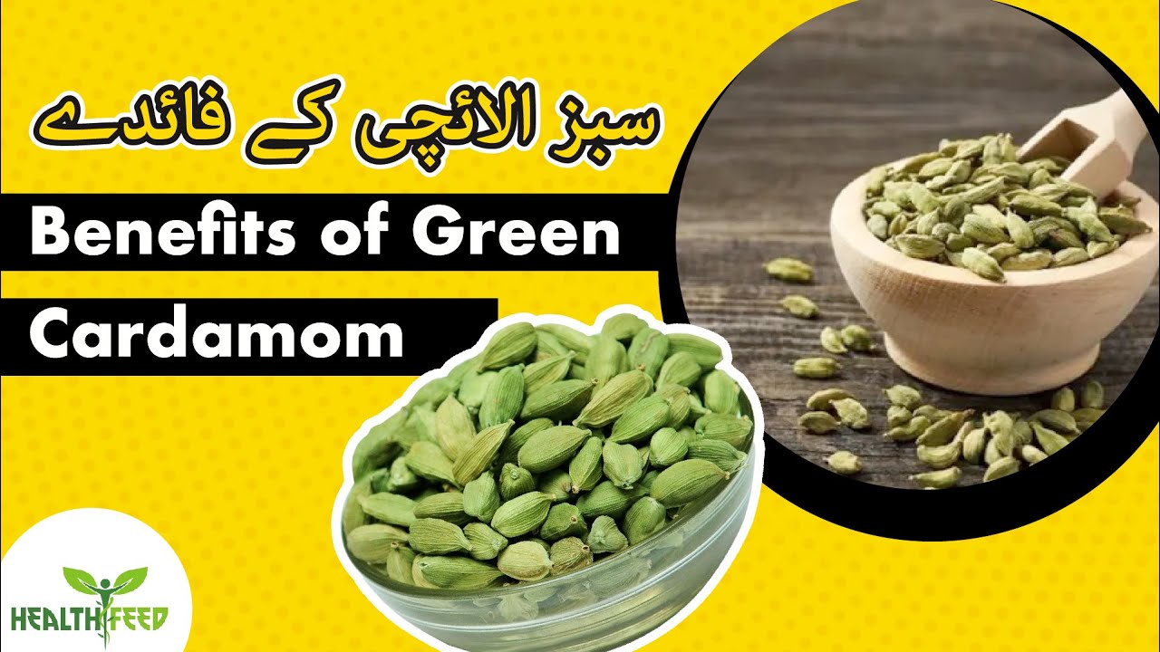 choti elaichi ke fayde - Elaichi khane ke fayde in urdu | Green ...