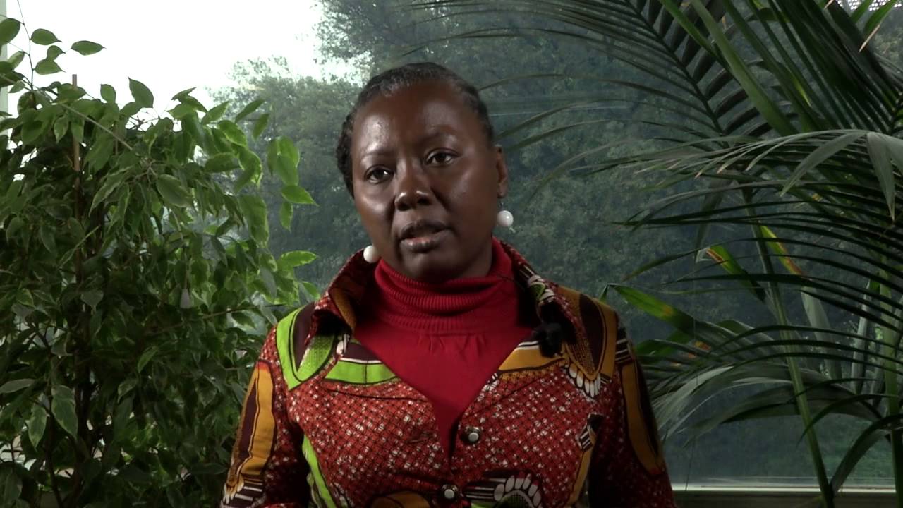 Emelia Arthur - Alchetron, The Free Social Encyclopedia