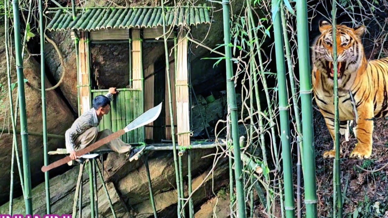 Build a bamboo house in the forest , there is a tiger # Làm nhà tre ...