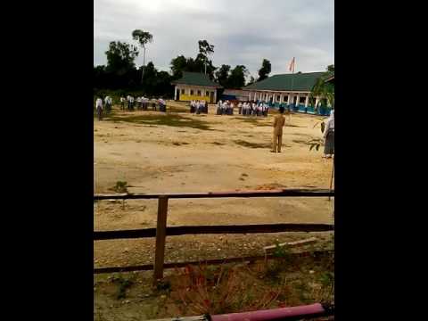 HAMJAN 1  2017 01 30