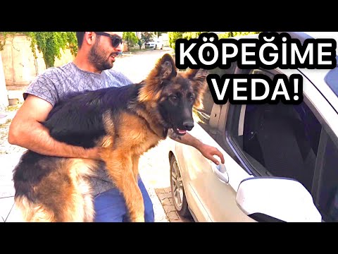 ALMAN KURDUMA VEDA! HAYIRLISI OLSUN!