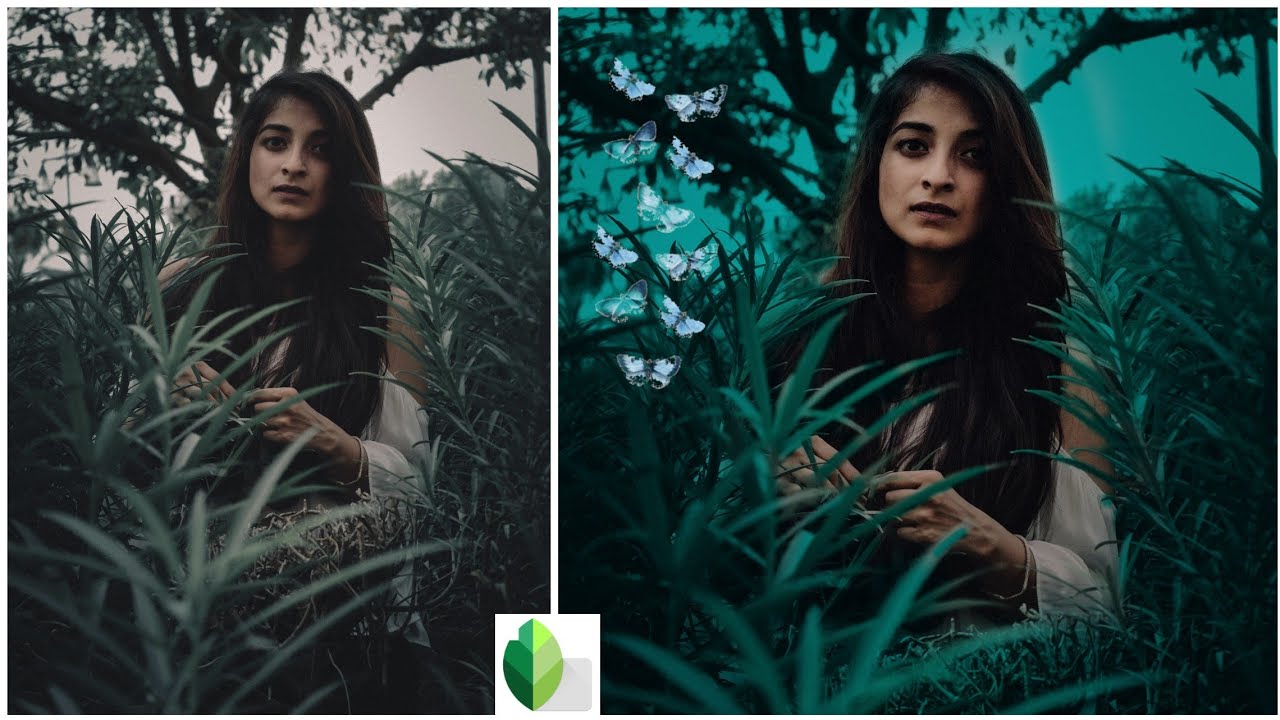 Snapseed Background Colour Change 2020 | New Snapseed Background Colour ...
