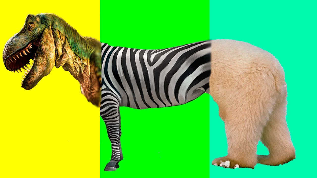 Baby Play Animal Match Up Learn Animal Names Combined Real Animals YouTube baby-play-animal-match-up-learn-animal-names-combined-real-animals-youtube
