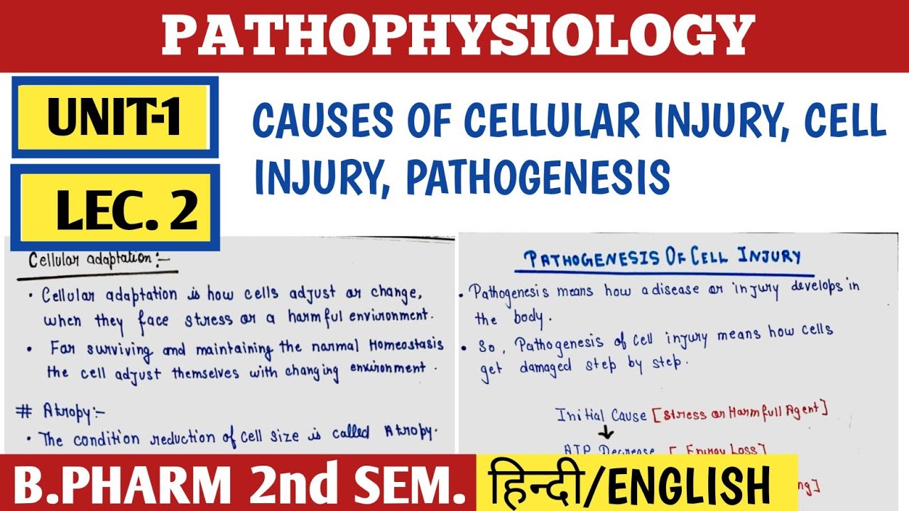 Cellular injury । Causes of cellular injury । Pathogenesis । Unit 1 ...