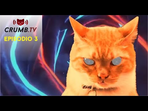 Crumb Tv - Episodio 03 - YouTube