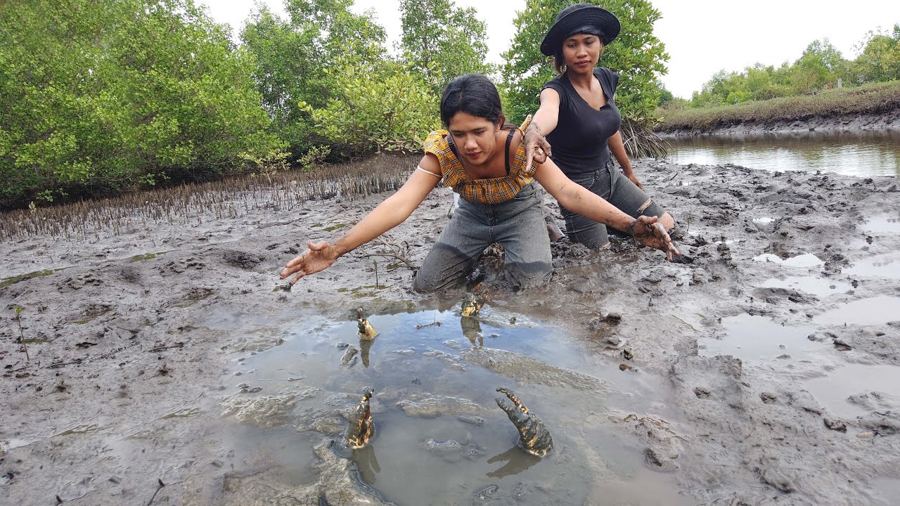 Catching Huge Mud Crabs in the Swamp After Low Tide - YouTube