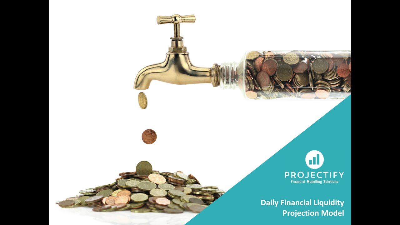 Daily Financial Liquidity / Cash Flow Projection Excel Model - YouTube