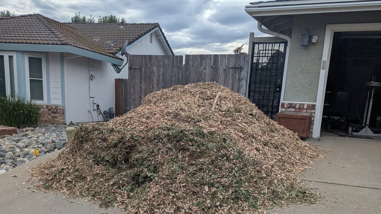 Finally got another chip drop!! - YouTube