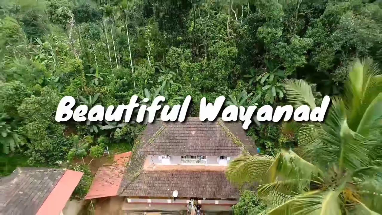 Wayanad diaries | Beautiful Wayanad | - YouTube