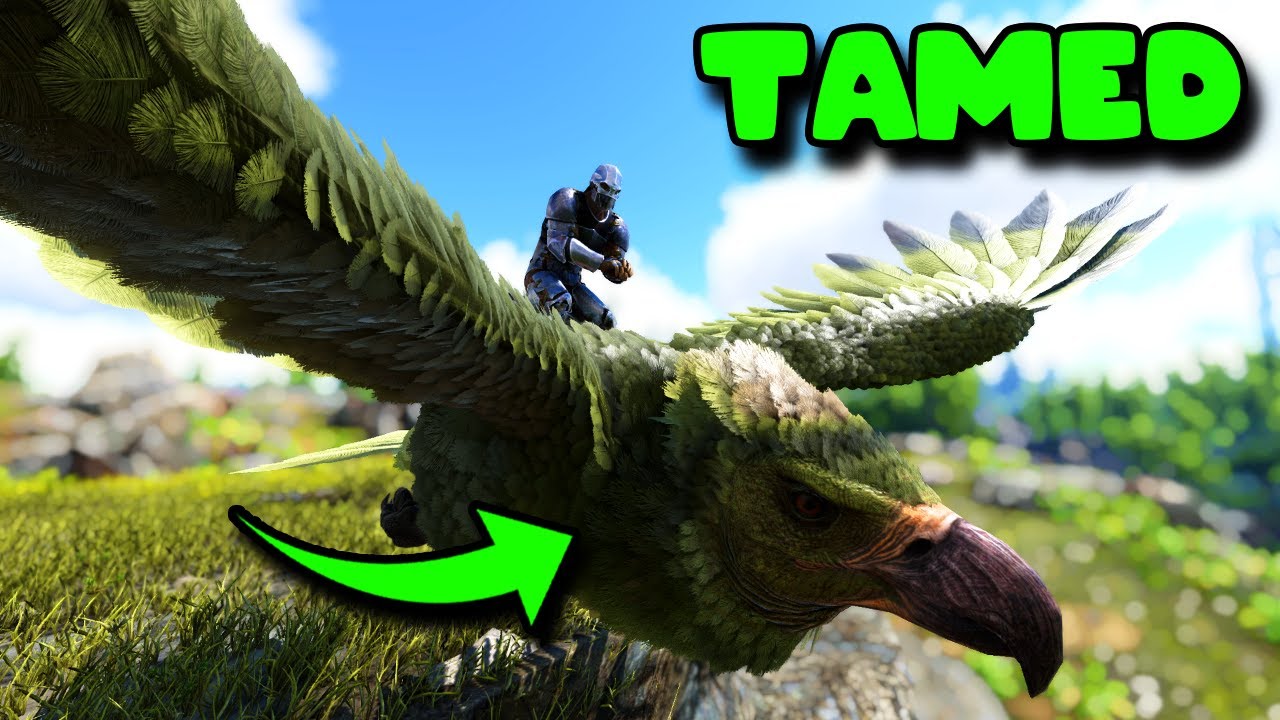 Wir zähmen unseren ERSTEN ARGI 🥳 (Ark Deutsch Duo PvP Sharx Server ...