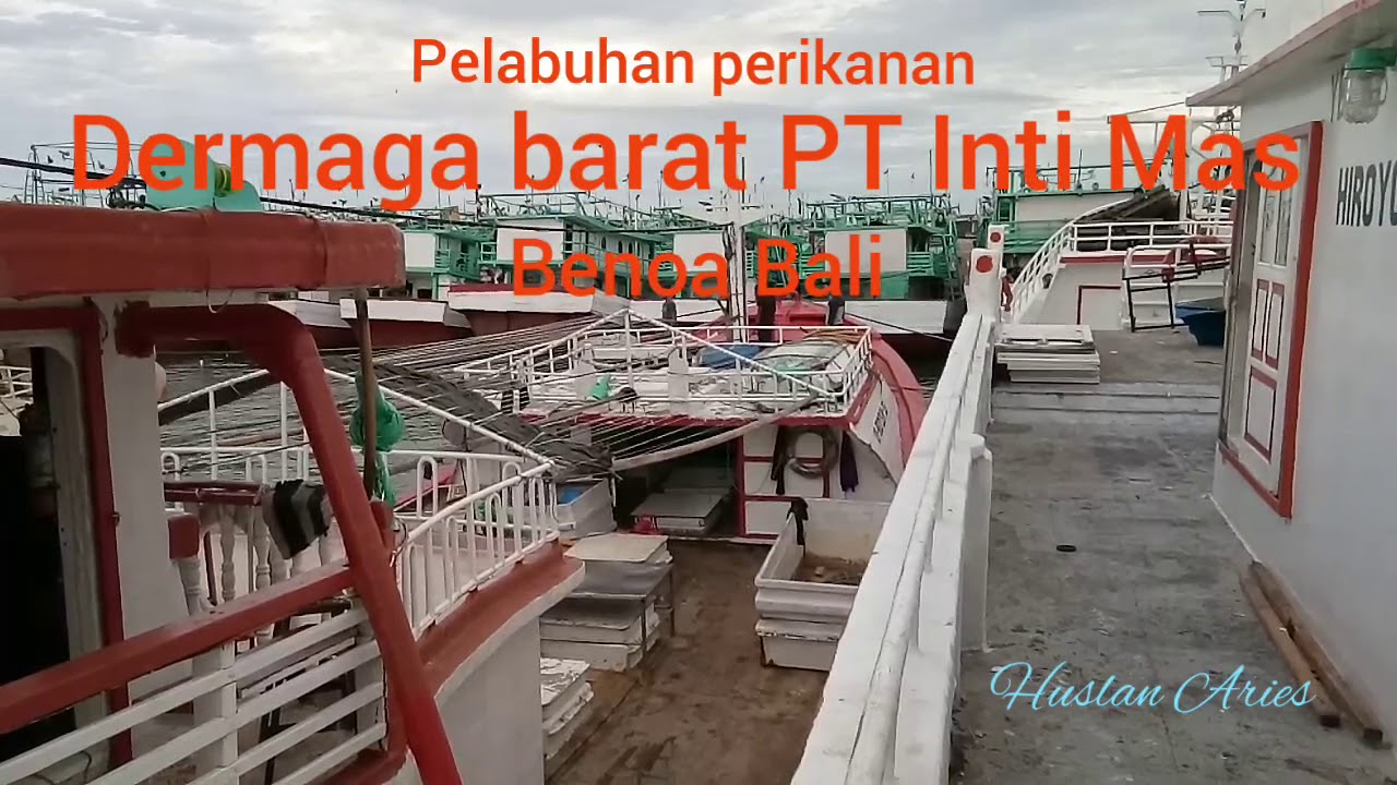 Suasana pelabuhan perikanan benoa bali /dermaga barat - YouTube