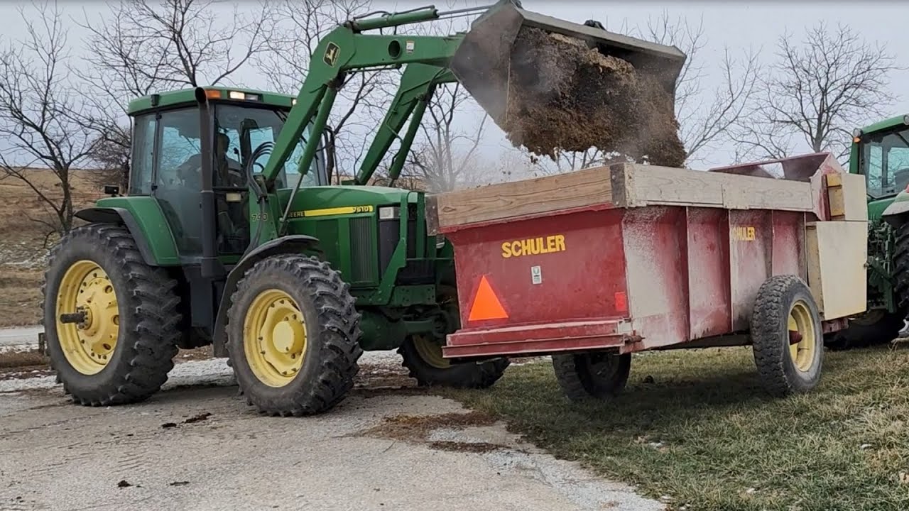 Feeding Cattle The First Load of Corn Silage - YouTube