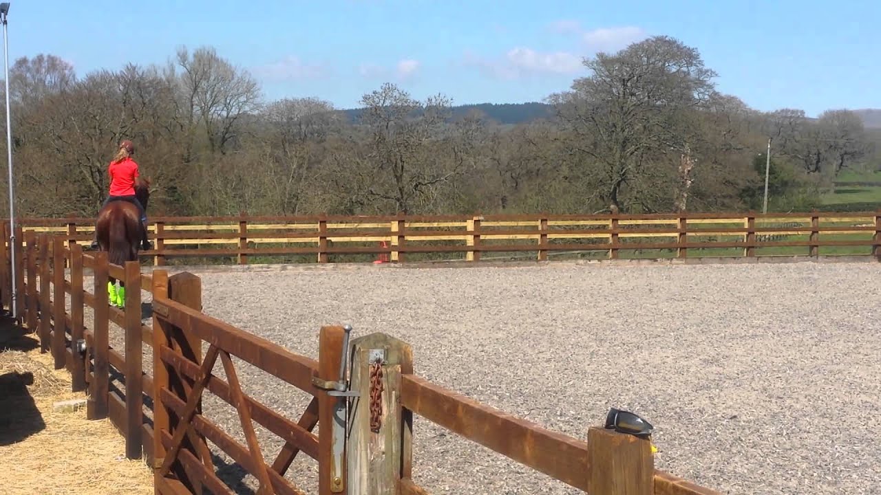 Johnson stallion training with Helen Bradley - YouTube