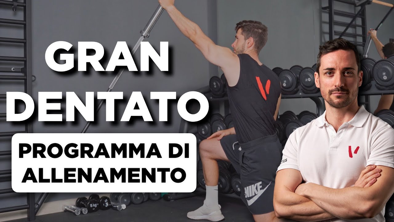 Esercizi gran dentato - Programma di allenamento - YouTube