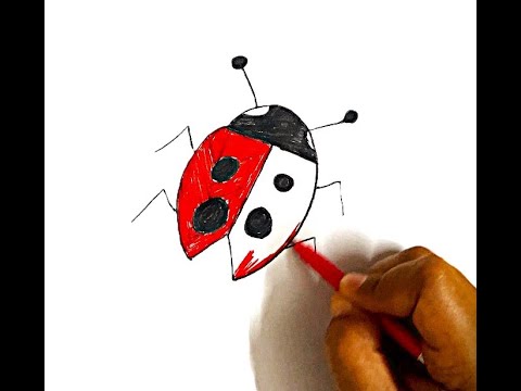 𝗦𝗧𝗘𝗣-𝗕𝗬-𝗦𝗧𝗘𝗣 𝗟𝗔𝗗𝗬𝗕𝗨𝗚 𝗗𝗥𝗔𝗪𝗜𝗡𝗚 | 𝗛𝗢𝗪 𝗧𝗢 𝗗𝗥𝗔𝗪 𝗟𝗔𝗗𝗬𝗕𝗨𝗚 | 𝗗𝗥𝗔𝗪 𝗔 𝗕𝗘𝗔𝗨𝗧𝗜𝗙𝗨𝗟 ...