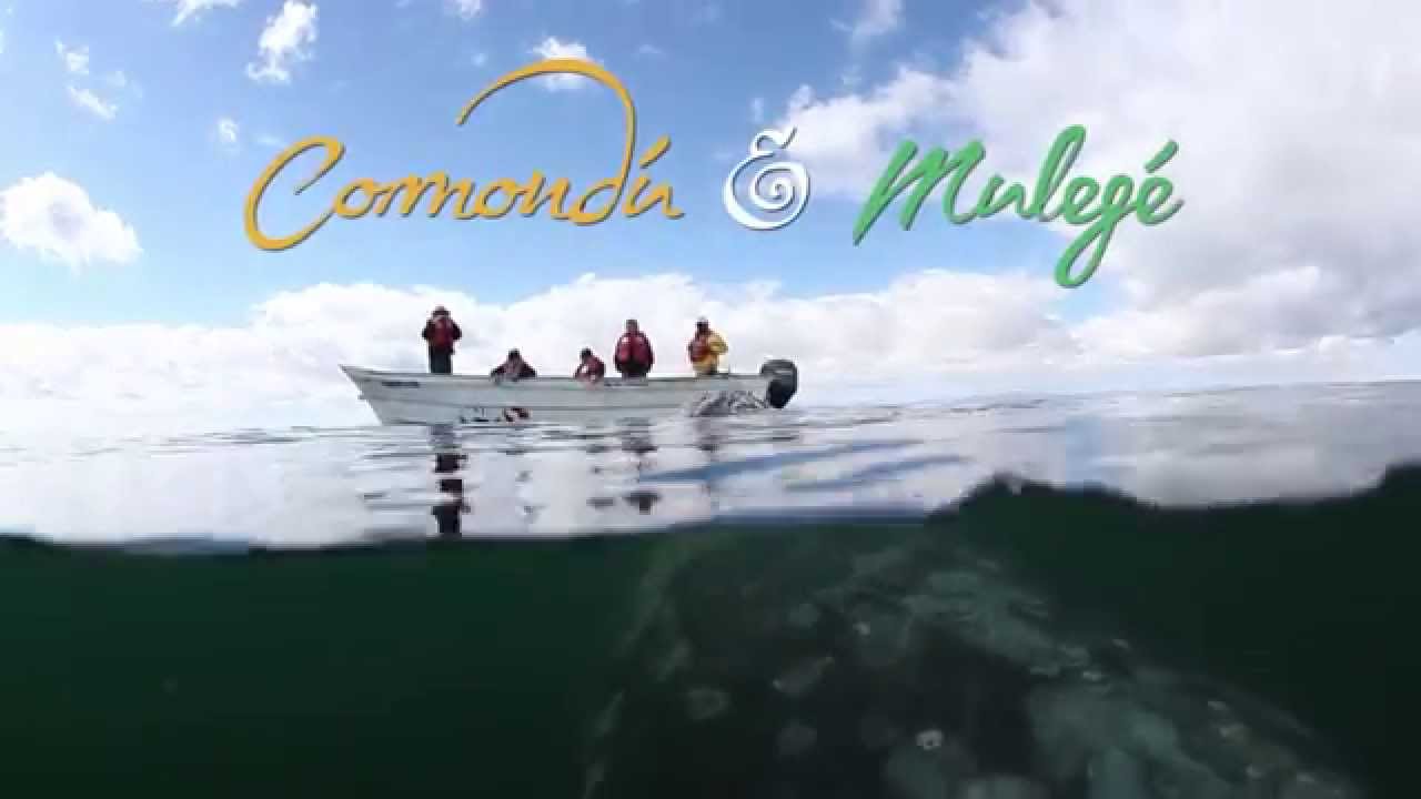 Comondú y Mulegé, Turismo de Aventura en Baja California Sur - YouTube