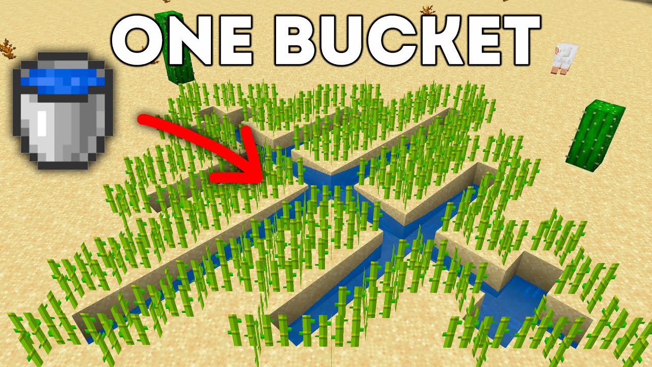 MOST EFFICIENT way To Plant Sugar Cane - YouTube