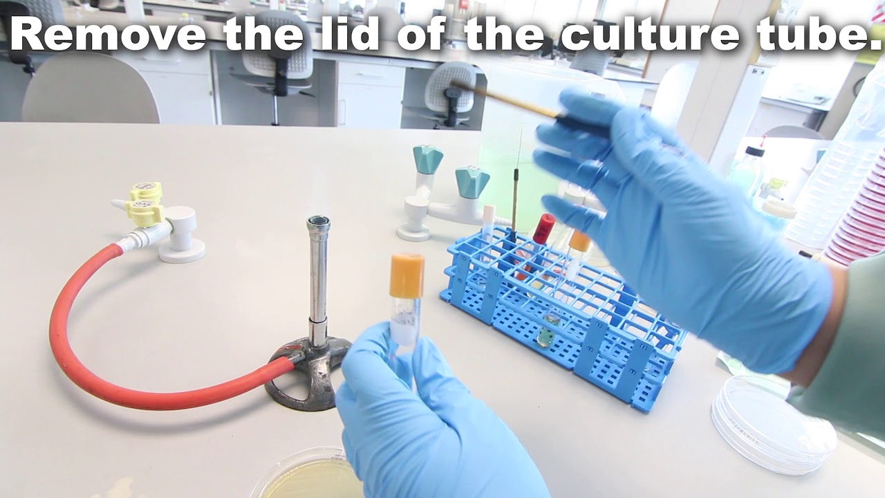 Aseptic transfer tube to tube - YouTube