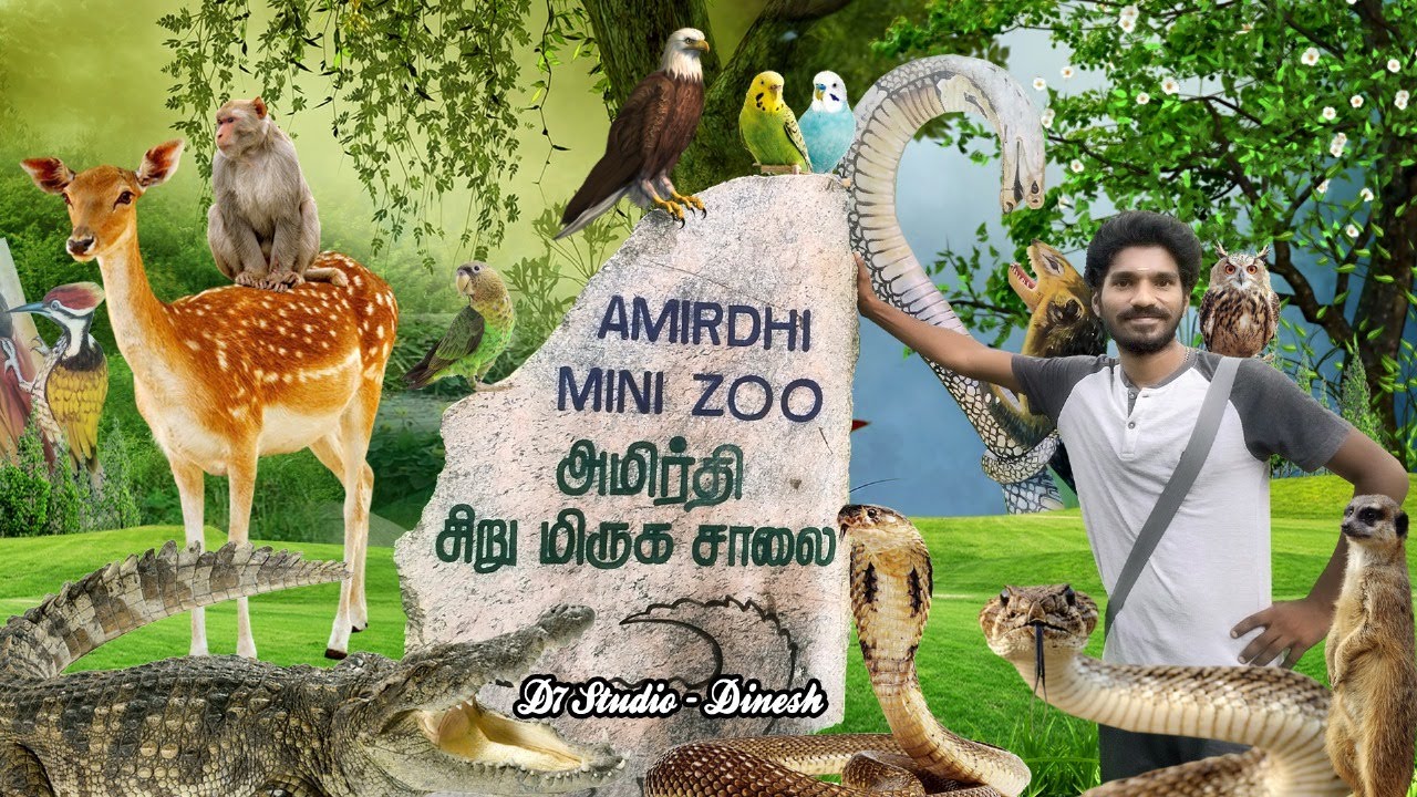 amirthi zoological park vellore tamil nadu|vellore tourist places in ...