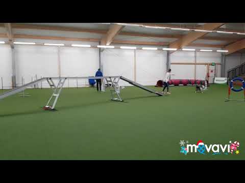 Naya RC Homework #5 01.01.2019