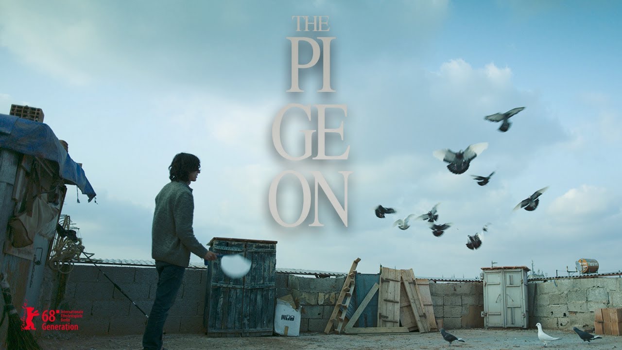 The Pigeon - Bande annonce (Vostfr) - YouTube