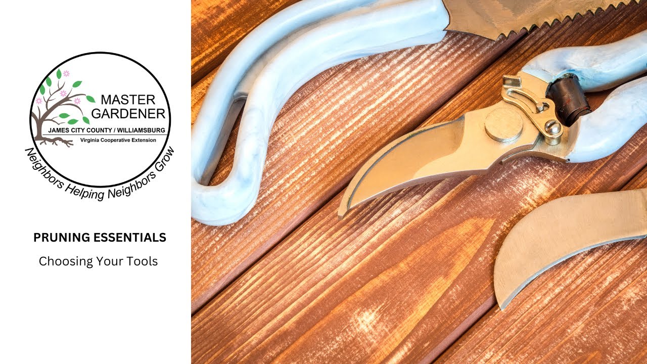 Pruning Essentials: Choosing Your Tools - YouTube