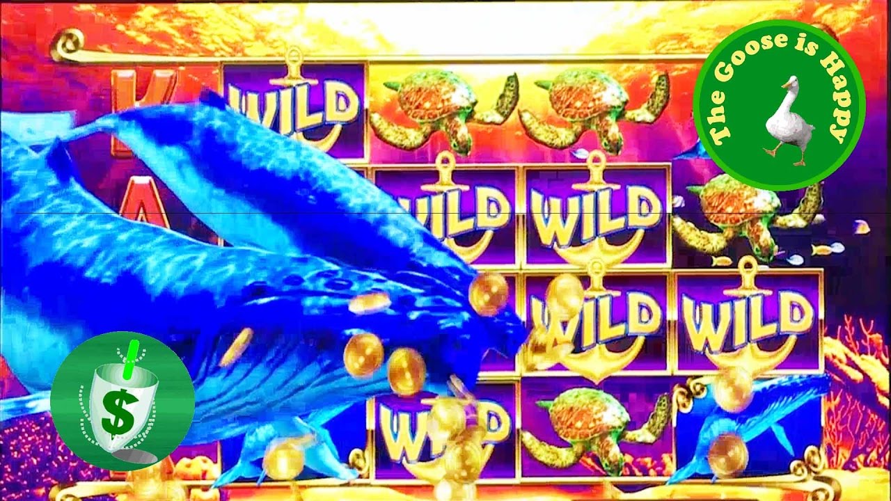 ++NEW Wild Pacific slot machine, DBG Nice Win - YouTube