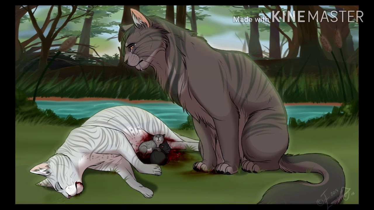 AMV Cat war(skillet comatoz) cover Rus - YouTube