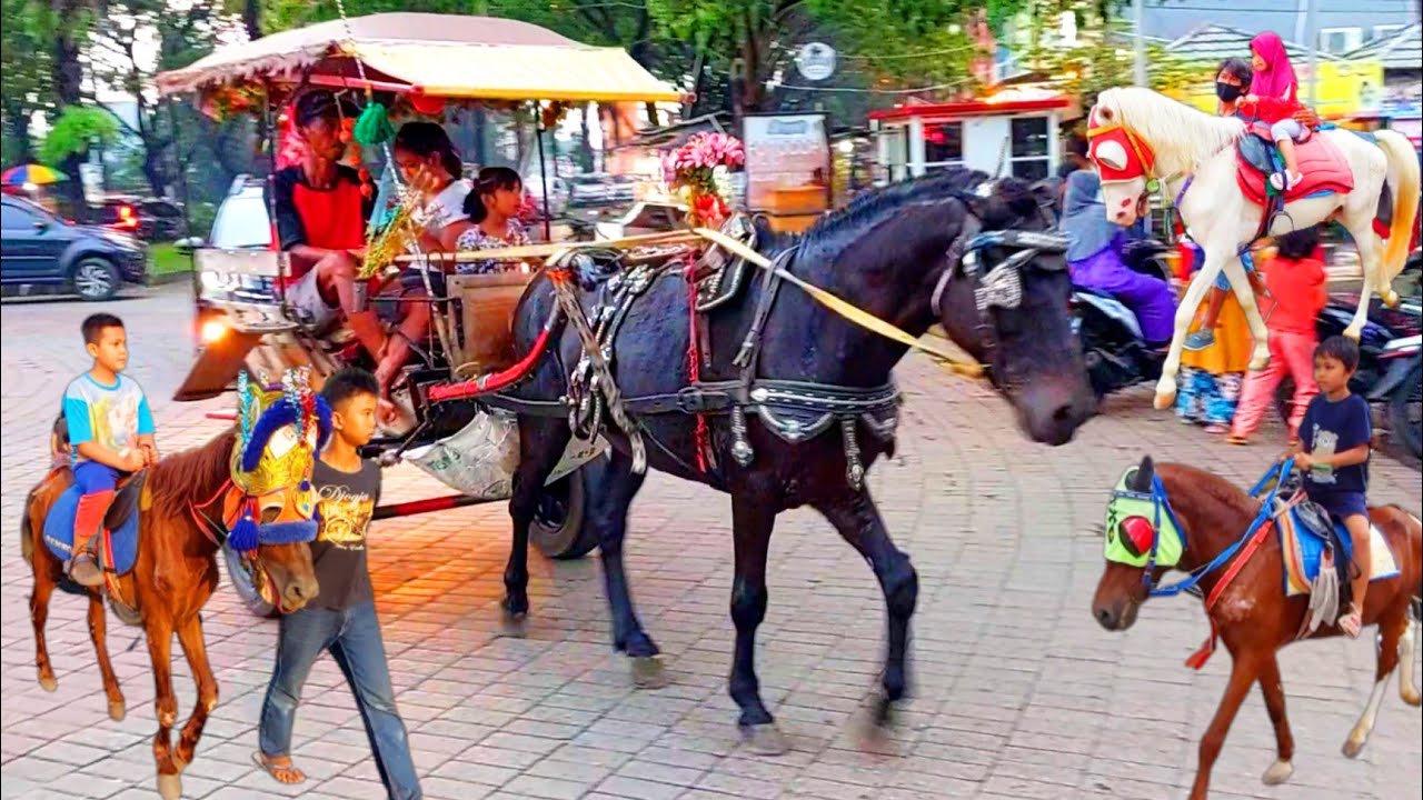 Kuda - Naik Kuda Delman Istimewa - Naik Kuda Andong - Naik Kuda Dokar ...
