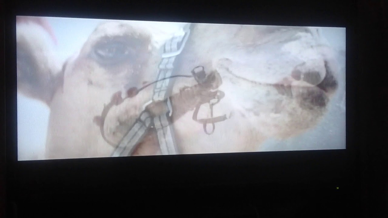 Budget Direct 2017 Ad - YouTube