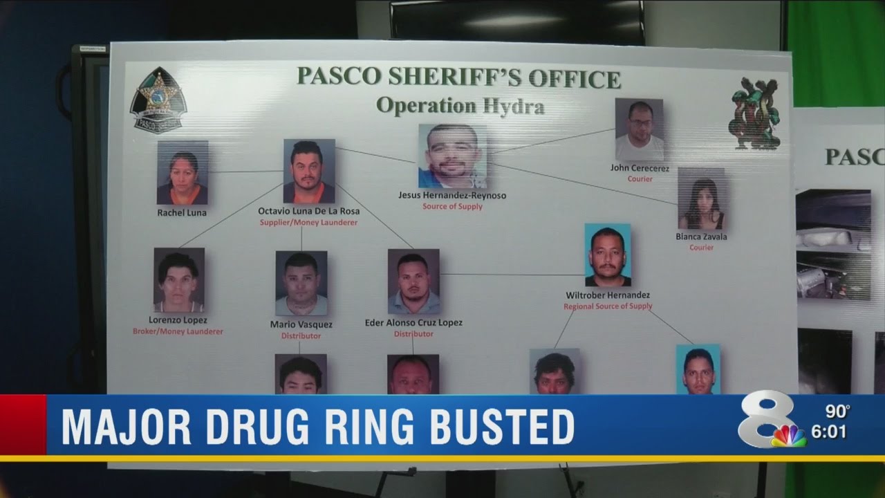 Pasco deputies bust major meth ring with widespread connections - YouTube