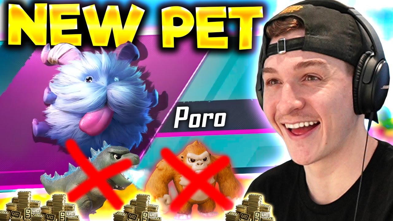 NEW PET "PORO" CRATE OPENING 😍☁️ - YouTube