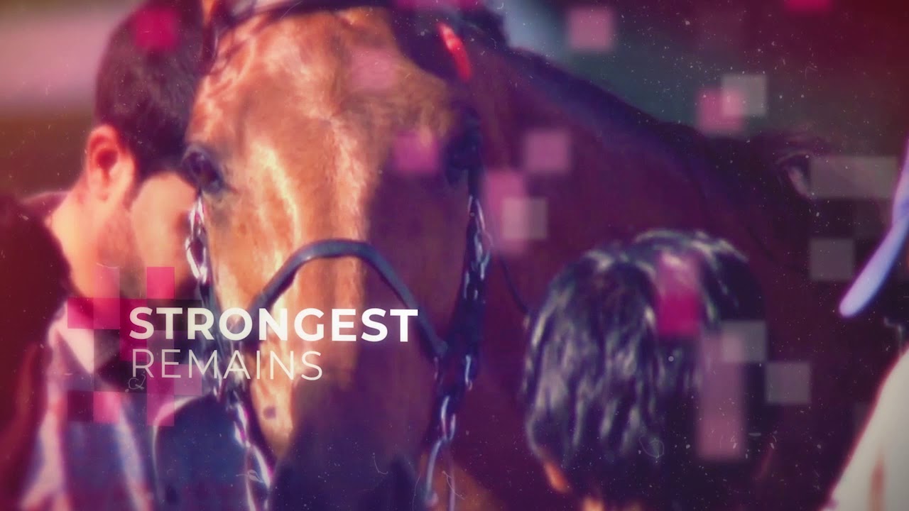 EIEV final logo full hd rev - YouTube