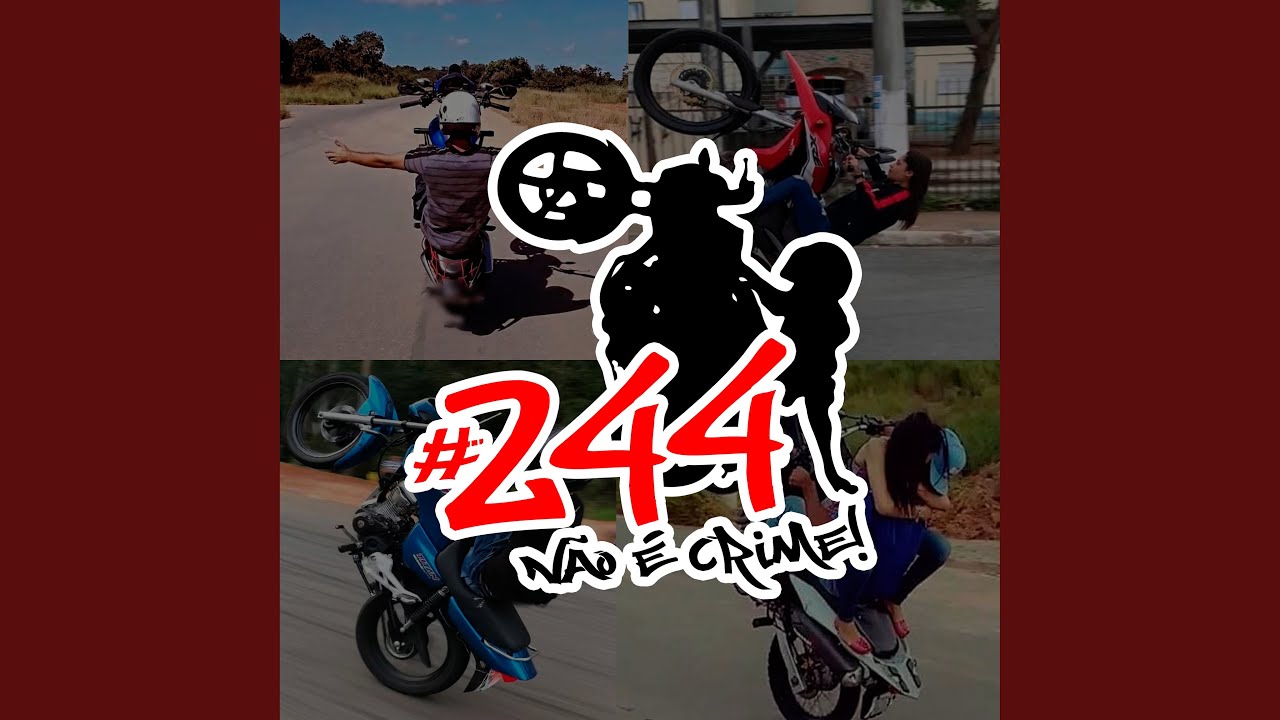 Artigo 244 (Firma dos Louco) - YouTube